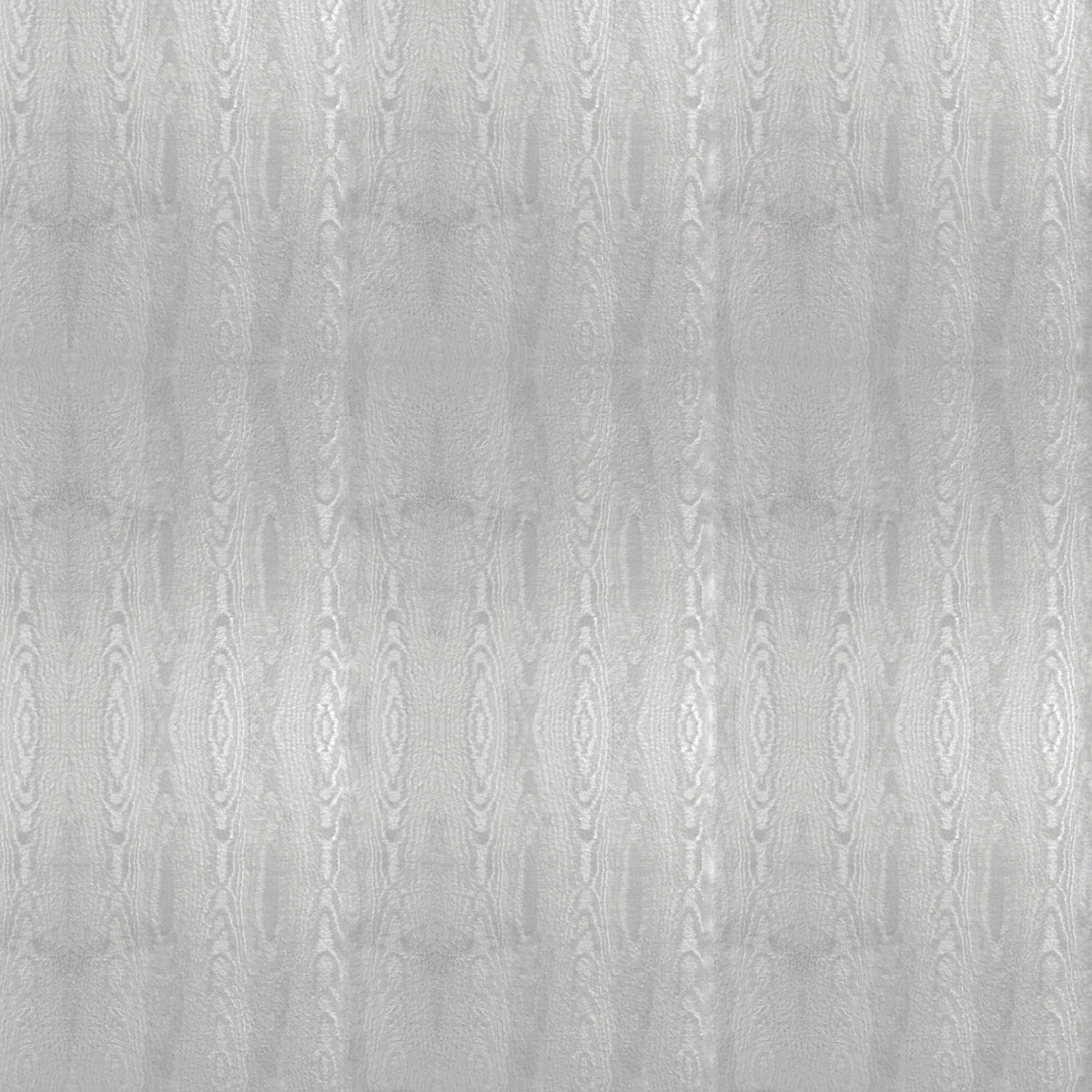 Absolute Wallpaper – Sovereign Interiors